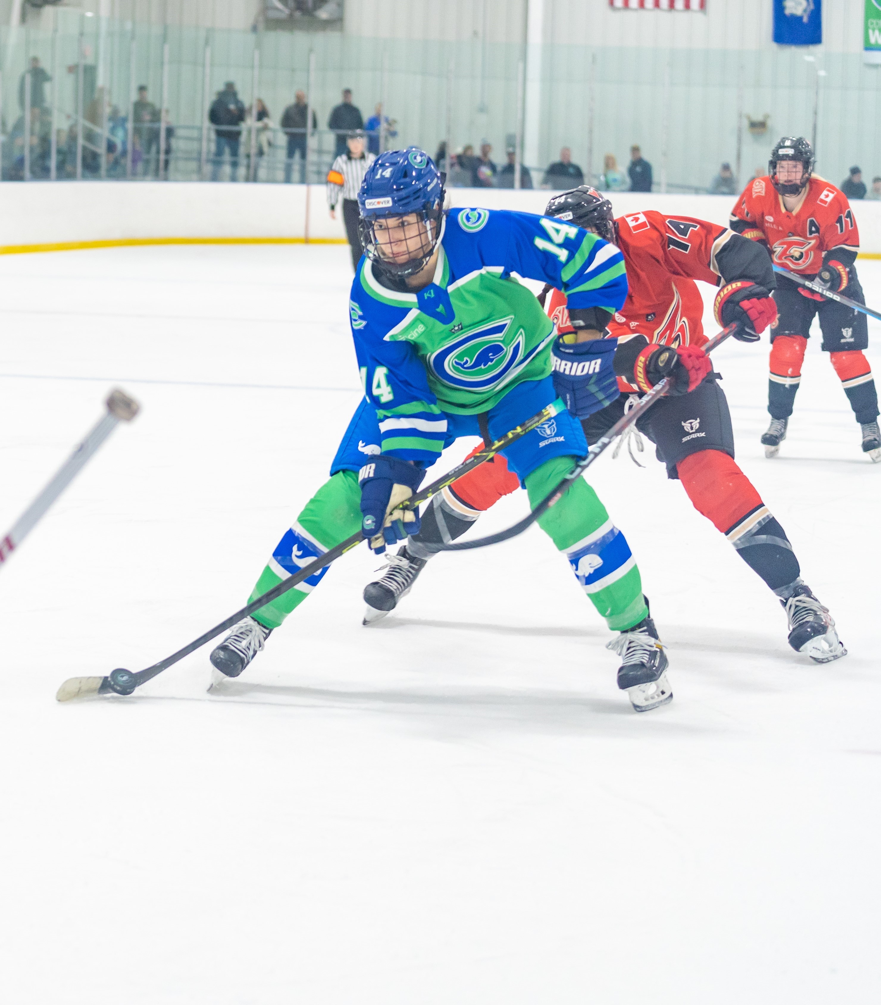 Justine Reyes nuova attaccante delle Eagles Alto Adige